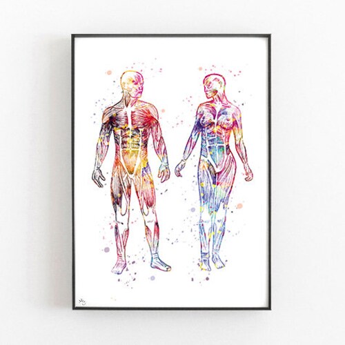 Human Anatomy Watercolor Print Set of 6 Skeletal Bones | Etsy