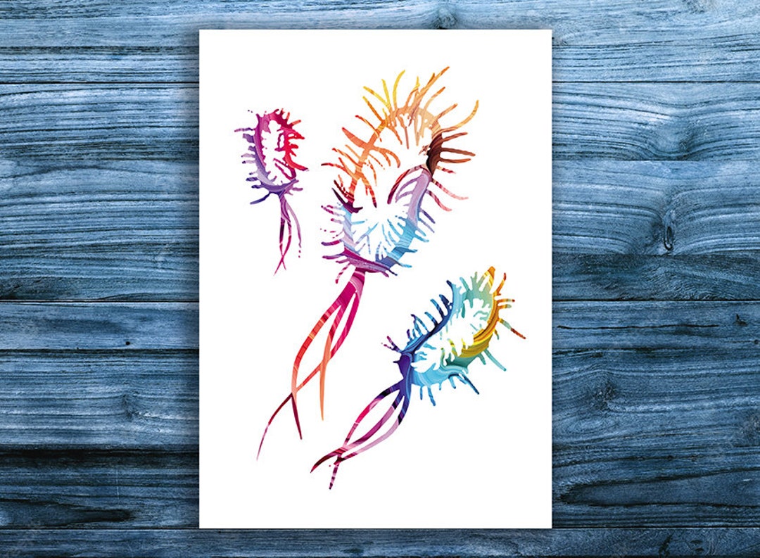 Escherichia Coli Poster, Drawing Biology Art Diagram, Science, Gift ...