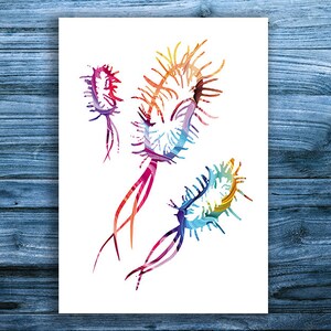 Escherichia Coli Poster, Drawing Biology Art Diagram, Science, Gift ...