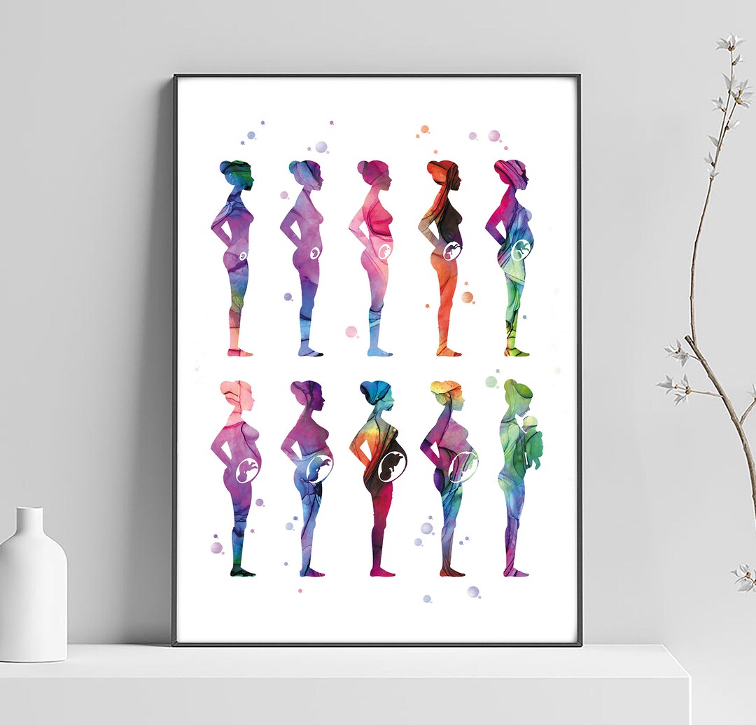 Fetus Evolution Poster Medical Poster Gift Gynecologist - Etsy