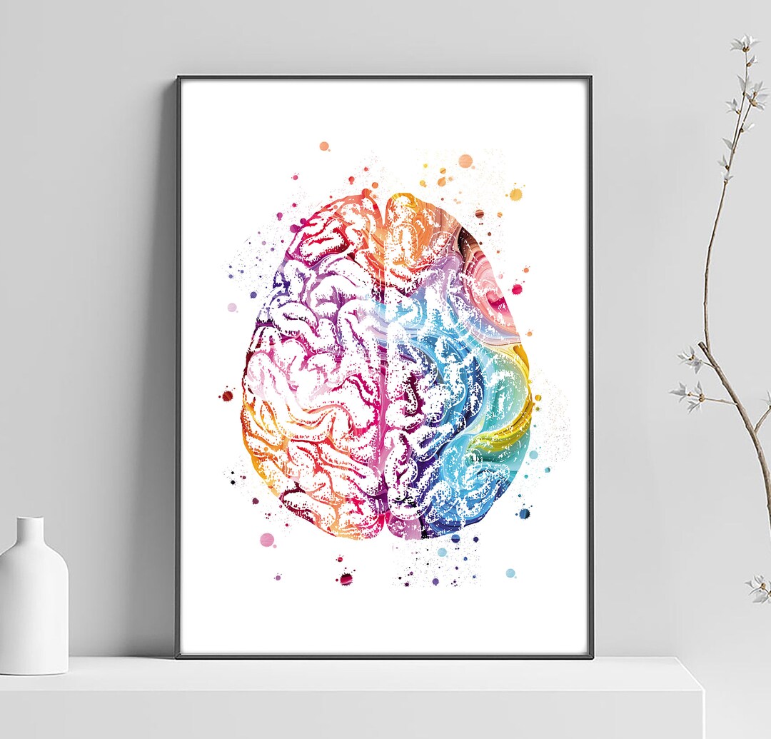 Brain Poster, Medical Illustration, Doctor Decoration, Surgeon Gift ...