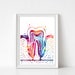 Tooth Diagram Poster, Medical Drawing, Dental Office, Dentist Gift ...