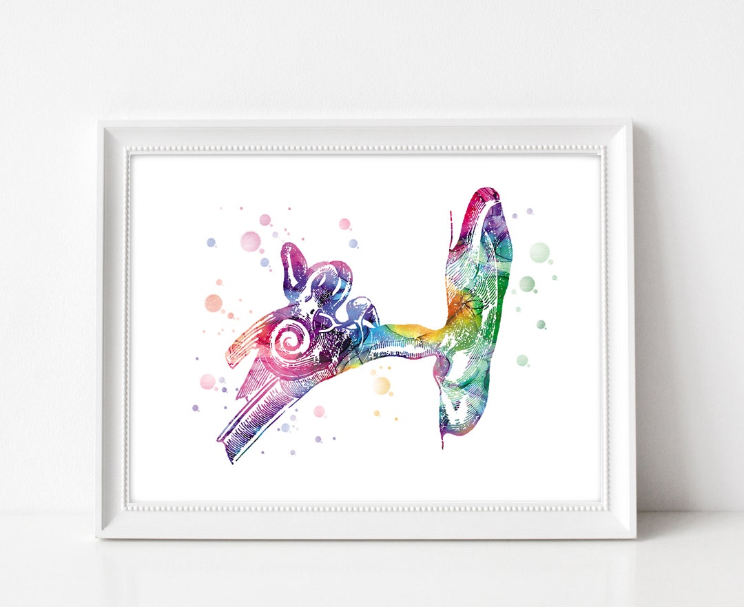 Ear, Doctor Gift, Medical, Ear Diagram, Auditory Canal, Cochlea Drawing ...