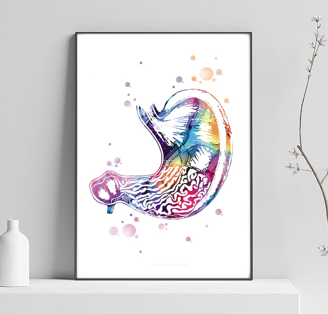 Stomach Poster, Medical Art, Doctor Decoration, Surgeon Gift ...