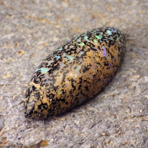 Black Leopard Opal-mexico 20.79 Ct Play of Colors No. 10-precision ...