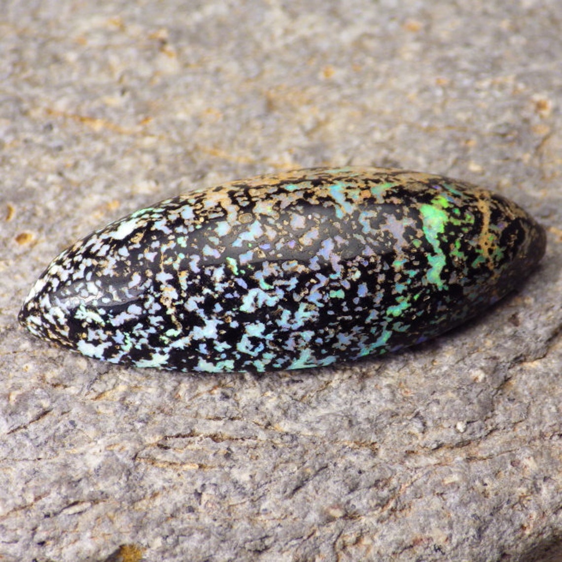 Black Leopard Opal-mexico 20.79 Ct Play of Colors No. - Etsy