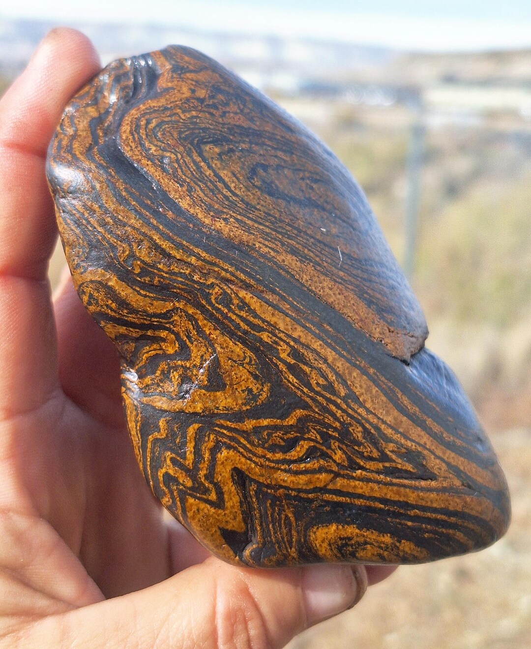 B41 MAGNETIC Genesis Stone Wyoming BIF Banded Ironstone Iron Hematite ...