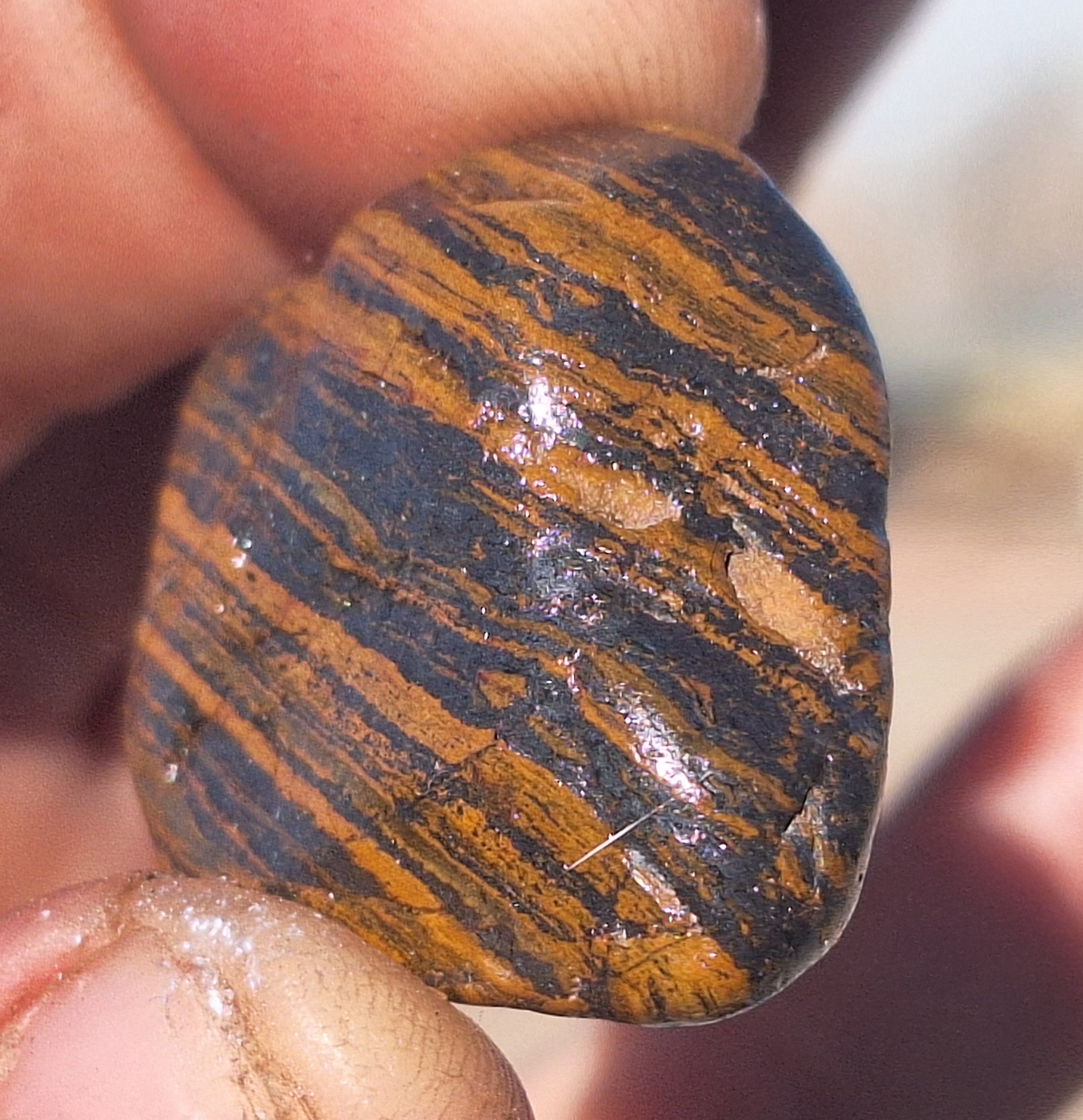 C10 MAGNETIC Genesis Stone Wyoming BIF Banded Ironstone Magnetite ...