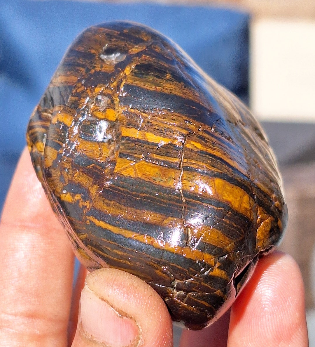 C15 MAGNETIC Genesis Stone Wyoming BIF Banded Ironstone Magnetite ...