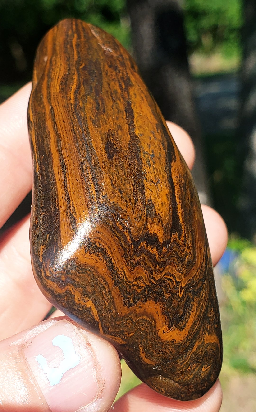 SC21 MAGNETIC Genesis Stone Wyoming BIF Banded Iron Hematite Magnetite ...