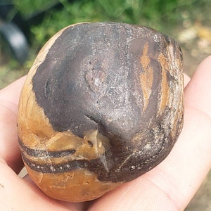 K.44 Magnetic Banded Ironstone Genesis Stone WYOMING BIF Hematite ...