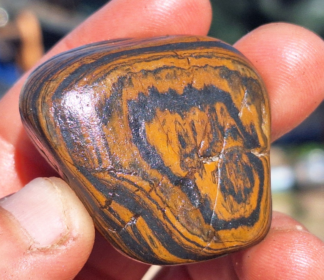 C49 MAGNETIC Genesis Stone Wyoming BIF Banded Ironstone Magnetite ...