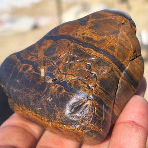 MAGNETIC Genesis Stone T01 Wyoming BIF Banded Ironstone Iron Hematite ...