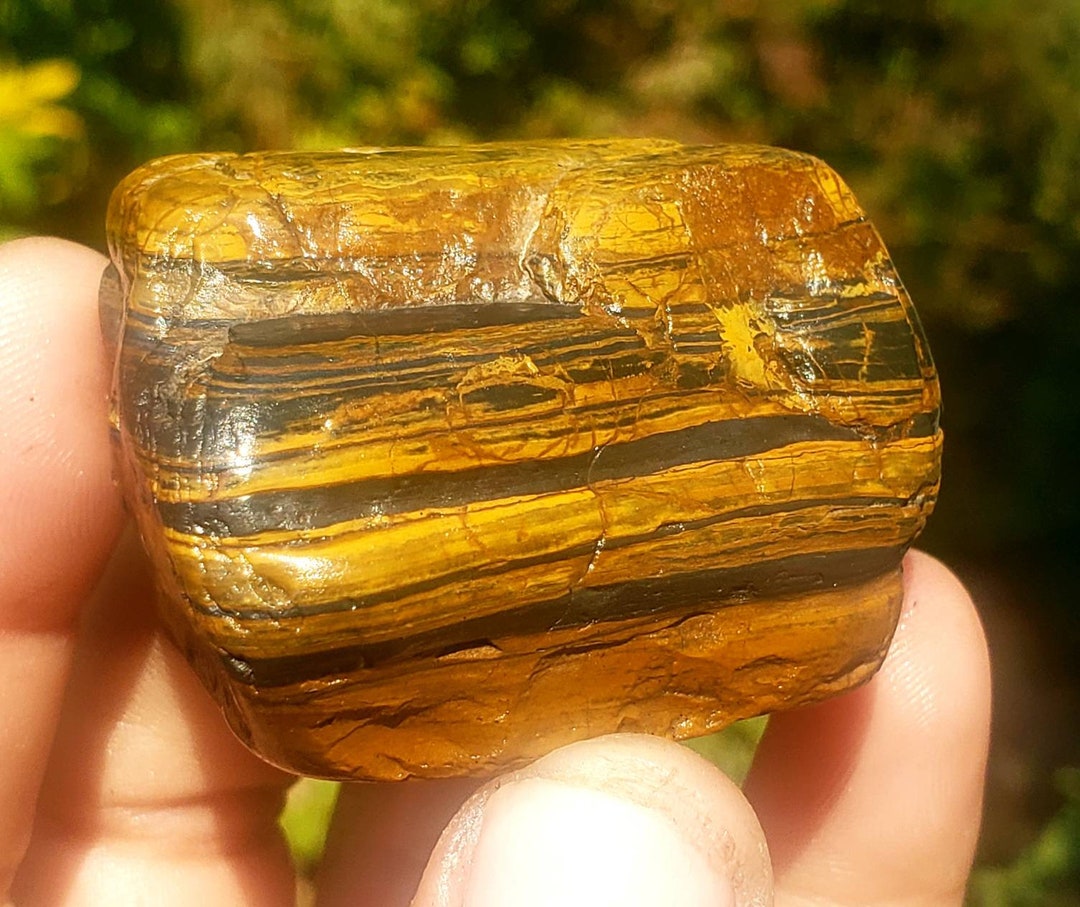 Z.22 BIF WYOMING Magnetic Banded Ironstone Genesis Stone Hematite ...