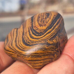 Banded Ironstone MAGNETIC Genesis Stone T27 Wyoming BIF Iron Hematite ...
