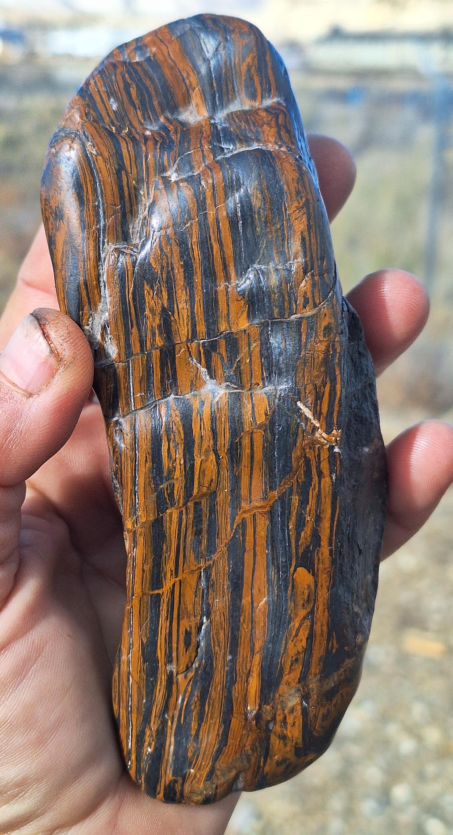 B67 MAGNETIC Genesis Stone Wyoming BIF Banded Ironstone Iron Hematite ...