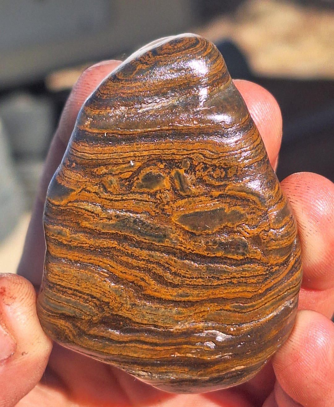 MAGNETIC Gneiss Stone Wyoming BIF Banded Ironstone Iron Hematite ...