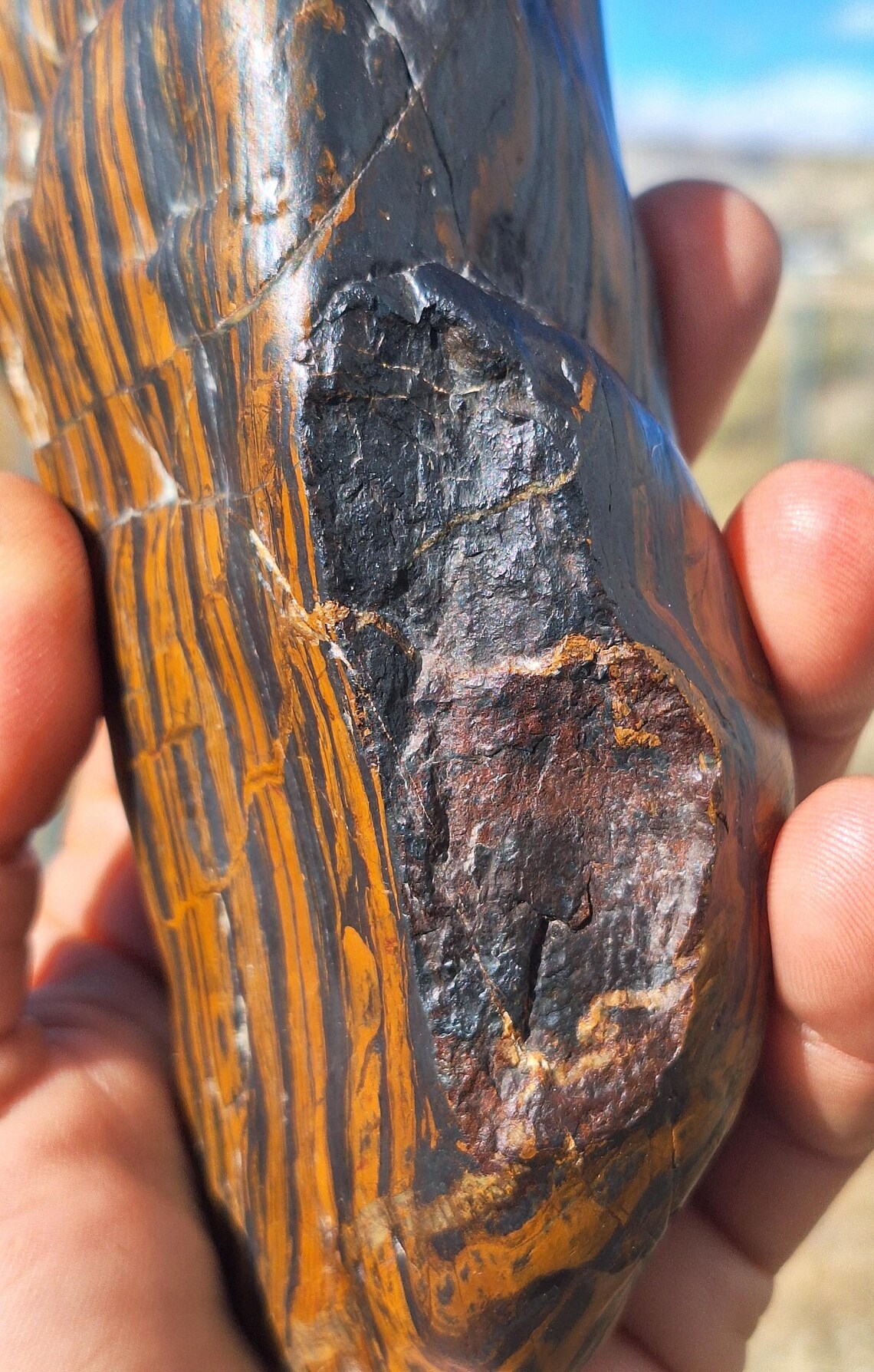 B67 MAGNETIC Genesis Stone Wyoming BIF Banded Ironstone Iron Hematite ...