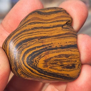 Banded Ironstone MAGNETIC Genesis Stone T27 Wyoming BIF Iron Hematite ...