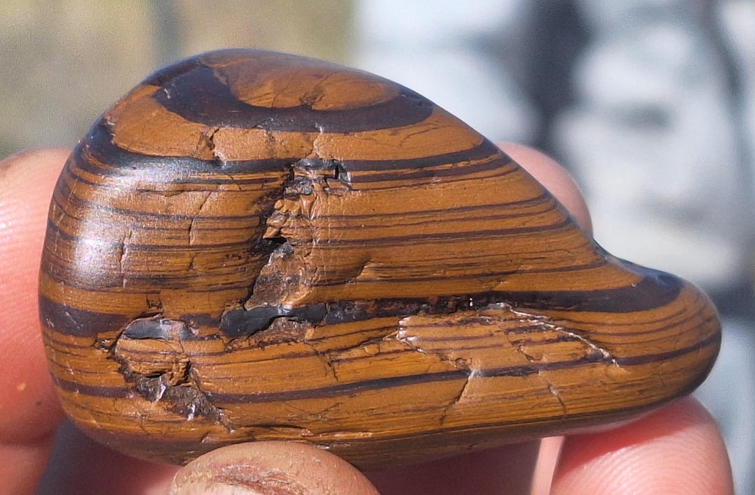 B64 MAGNETIC Genesis Stone Wyoming BIF Banded Ironstone Iron Hematite ...