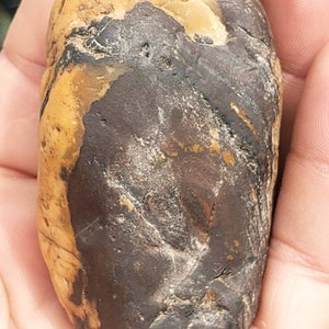 K.44 Magnetic Banded Ironstone Genesis Stone WYOMING BIF Hematite ...