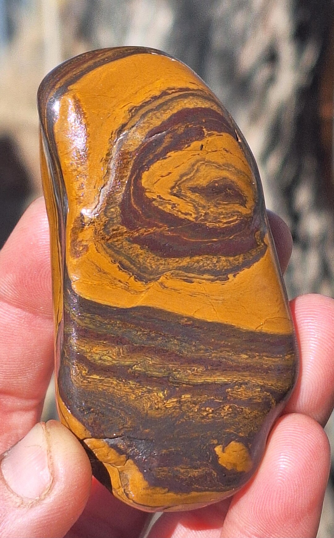 MAGNETIC Genesis Stone Wyoming BIF Banded Ironstone Iron Hematite ...