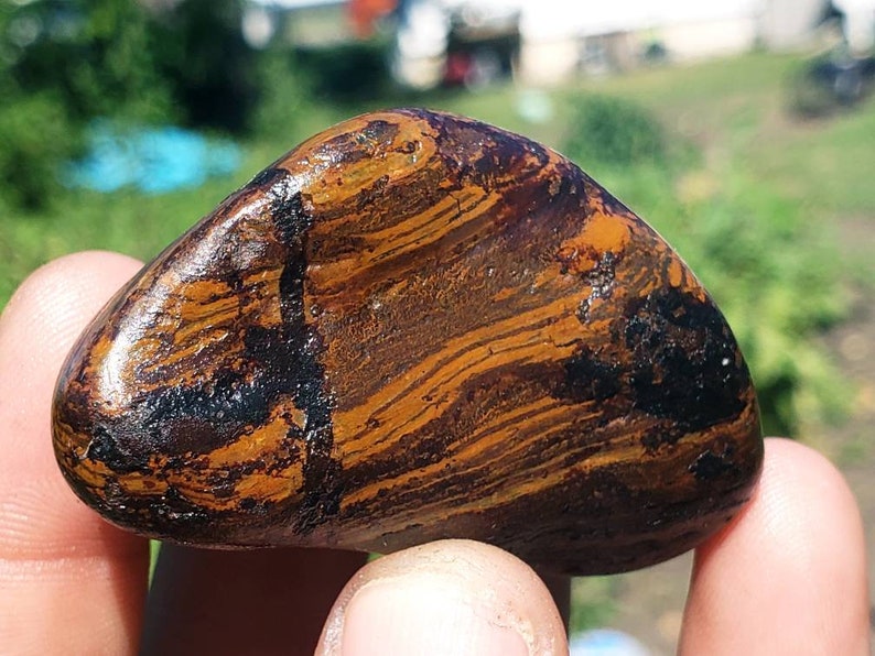 K59 Magnetic Banded Ironstone Genesis Stone WYOMING BIF Hematite ...