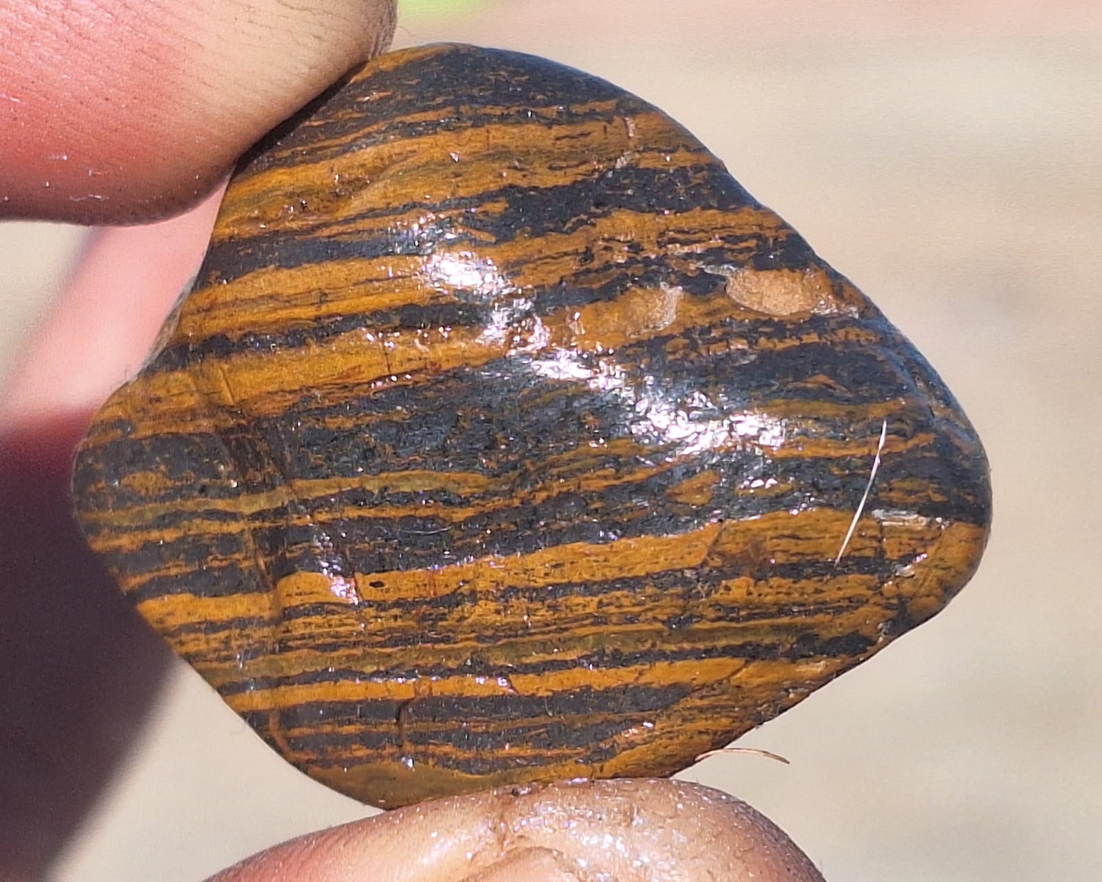 C10 MAGNETIC Genesis Stone Wyoming BIF Banded Ironstone Magnetite ...