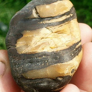 K.44 Magnetic Banded Ironstone Genesis Stone WYOMING BIF Hematite ...