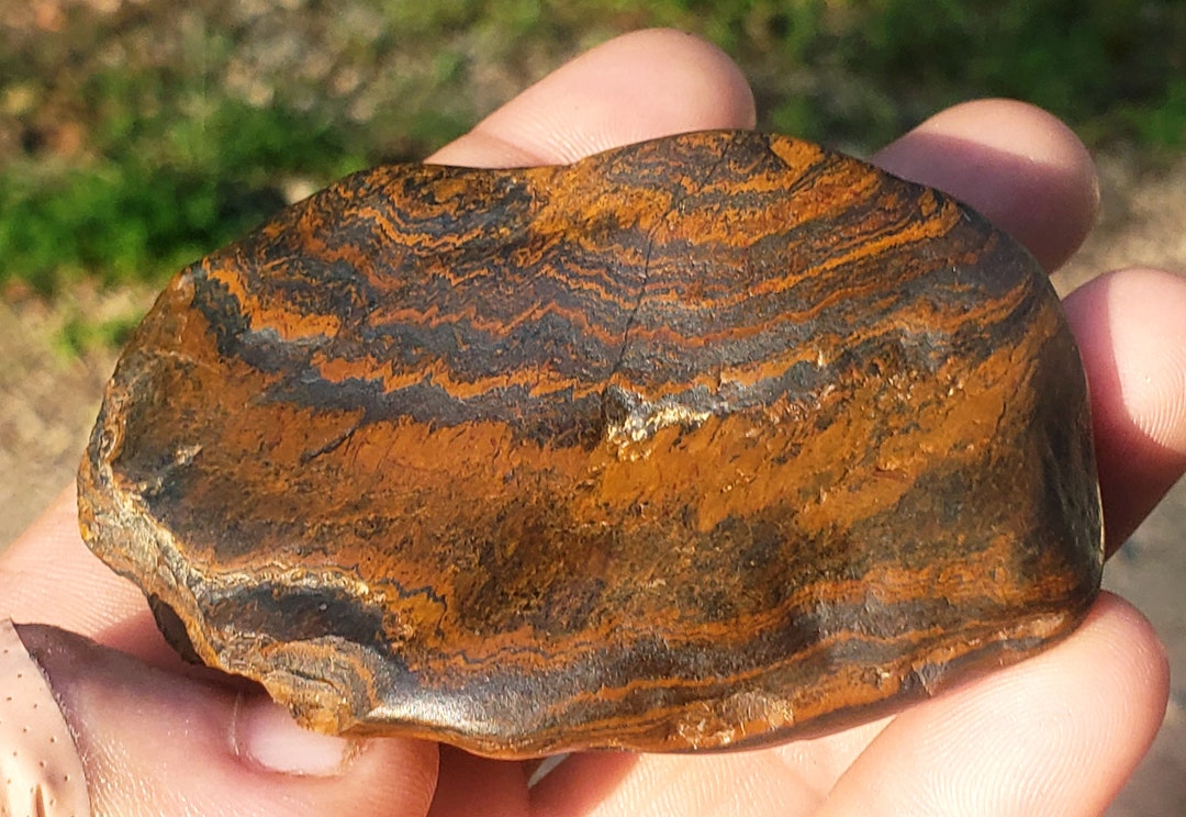 SC26 MAGNETIC Genesis Stone Wyoming BIF Banded Iron Hematite Magnetite ...