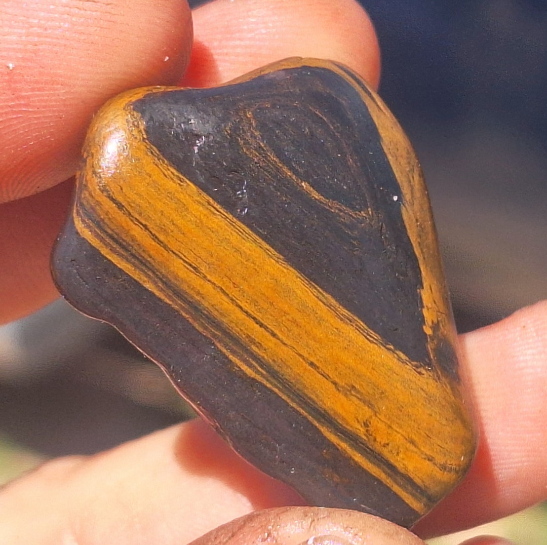 C66 MAGNETIC Genesis Stone Wyoming BIF Banded Ironstone Magnetite ...