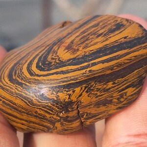 Banded Ironstone MAGNETIC Genesis Stone T27 Wyoming BIF Iron Hematite ...