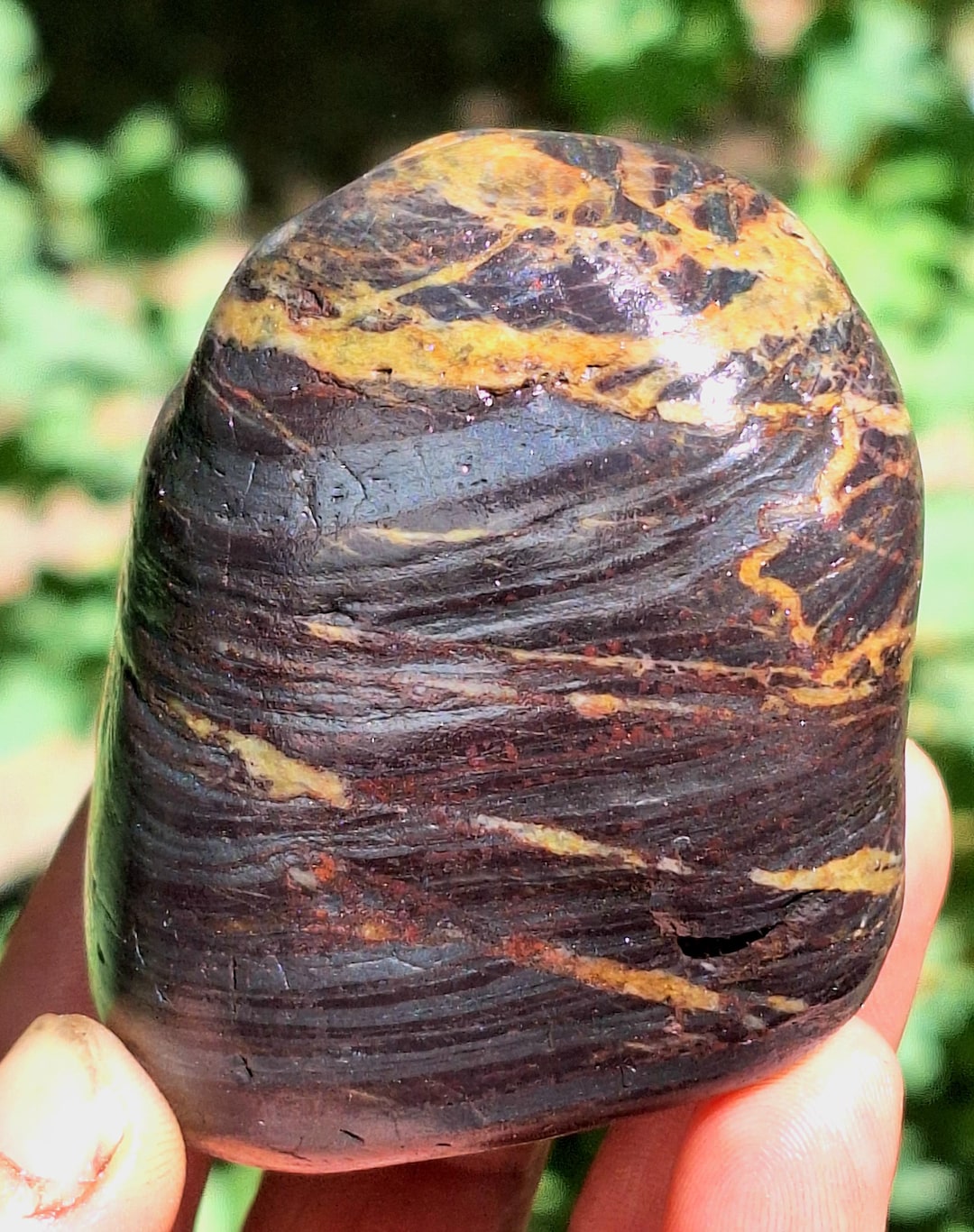 Wyoming Banded Ironstone Formation BIF Iron GENESIS Stone Magnetic ...