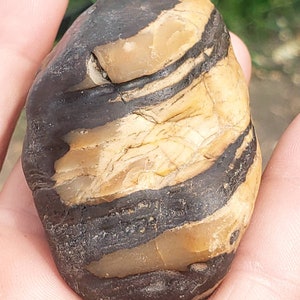 K.44 Magnetic Banded Ironstone Genesis Stone WYOMING BIF Hematite ...