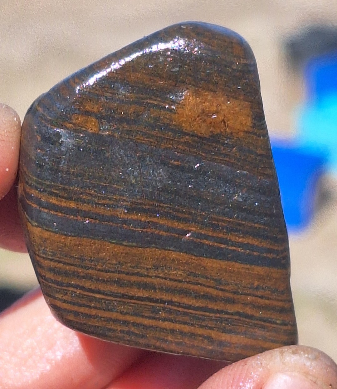 C43 MAGNETIC Genesis Stone Wyoming BIF Banded Ironstone Magnetite ...