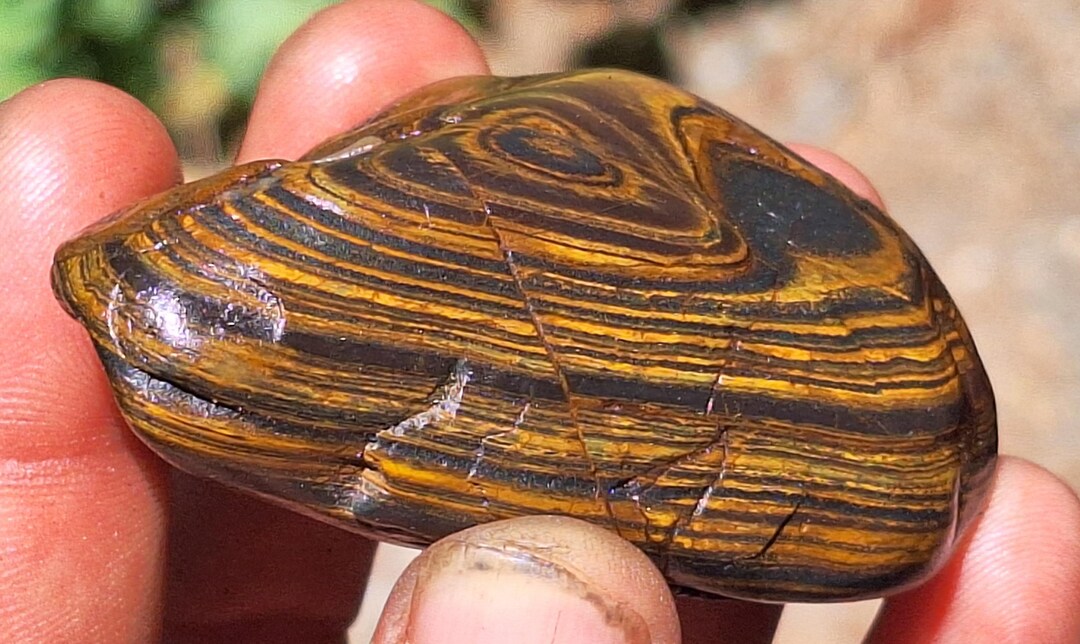 Wyoming Banded Iron Stone Formation BIF Ironstone GENESIS Stone ...