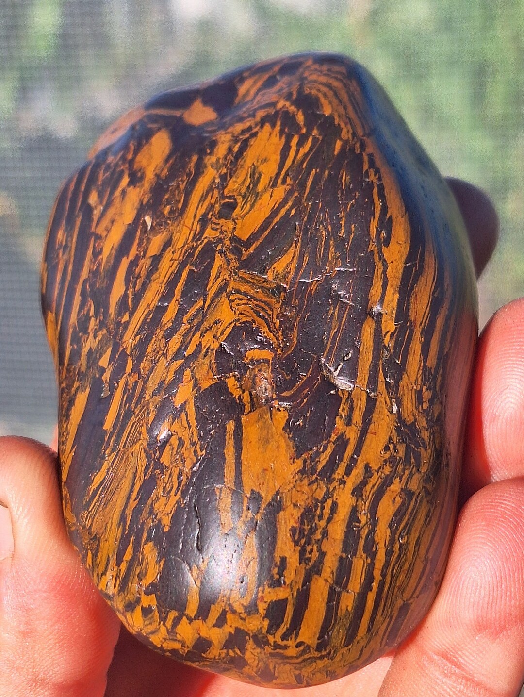 MAGNETIC Genesis Stone A35 Wyoming BIF Banded Ironstone Magnetite ...