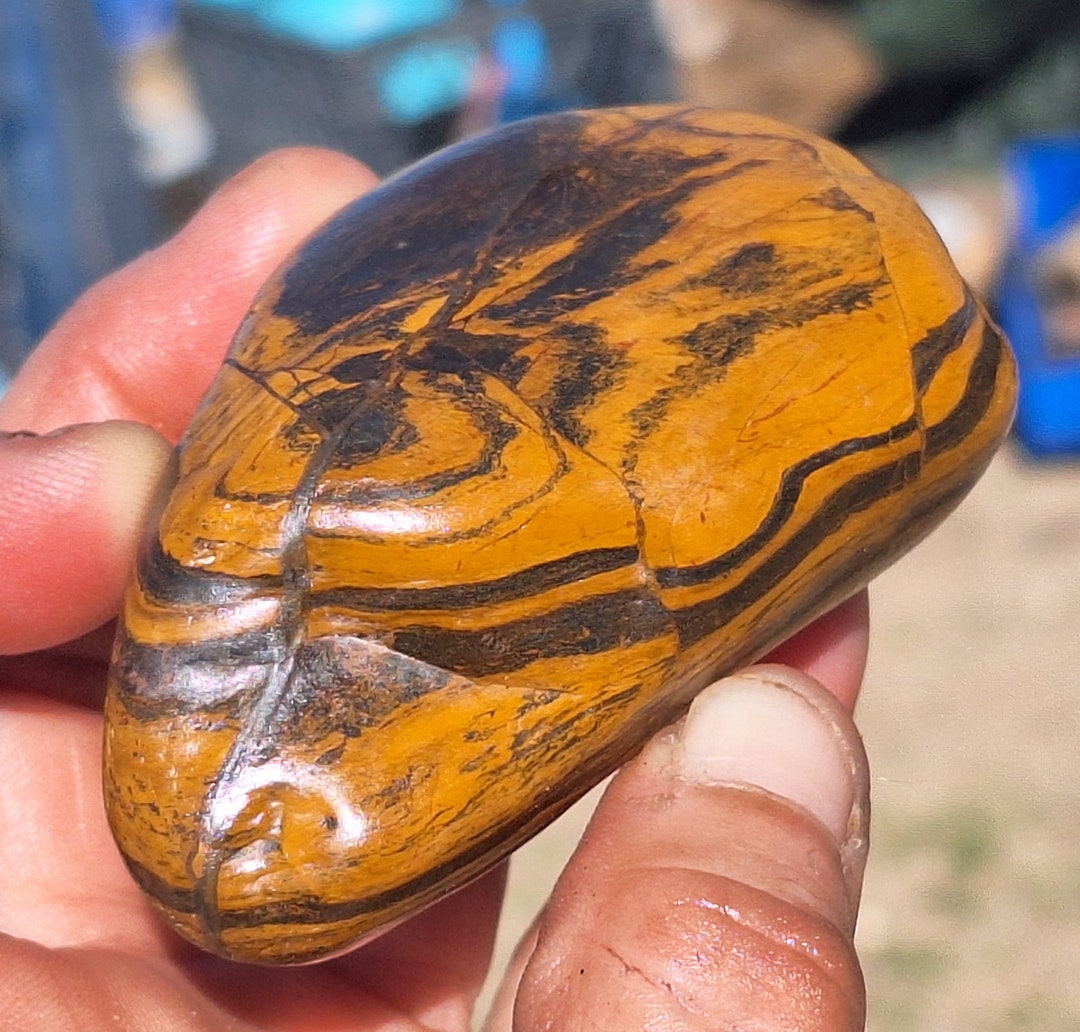 C47 MAGNETIC Genesis Stone Wyoming BIF Banded Ironstone Magnetite ...