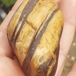 K.44 Magnetic Banded Ironstone Genesis Stone WYOMING BIF Hematite ...