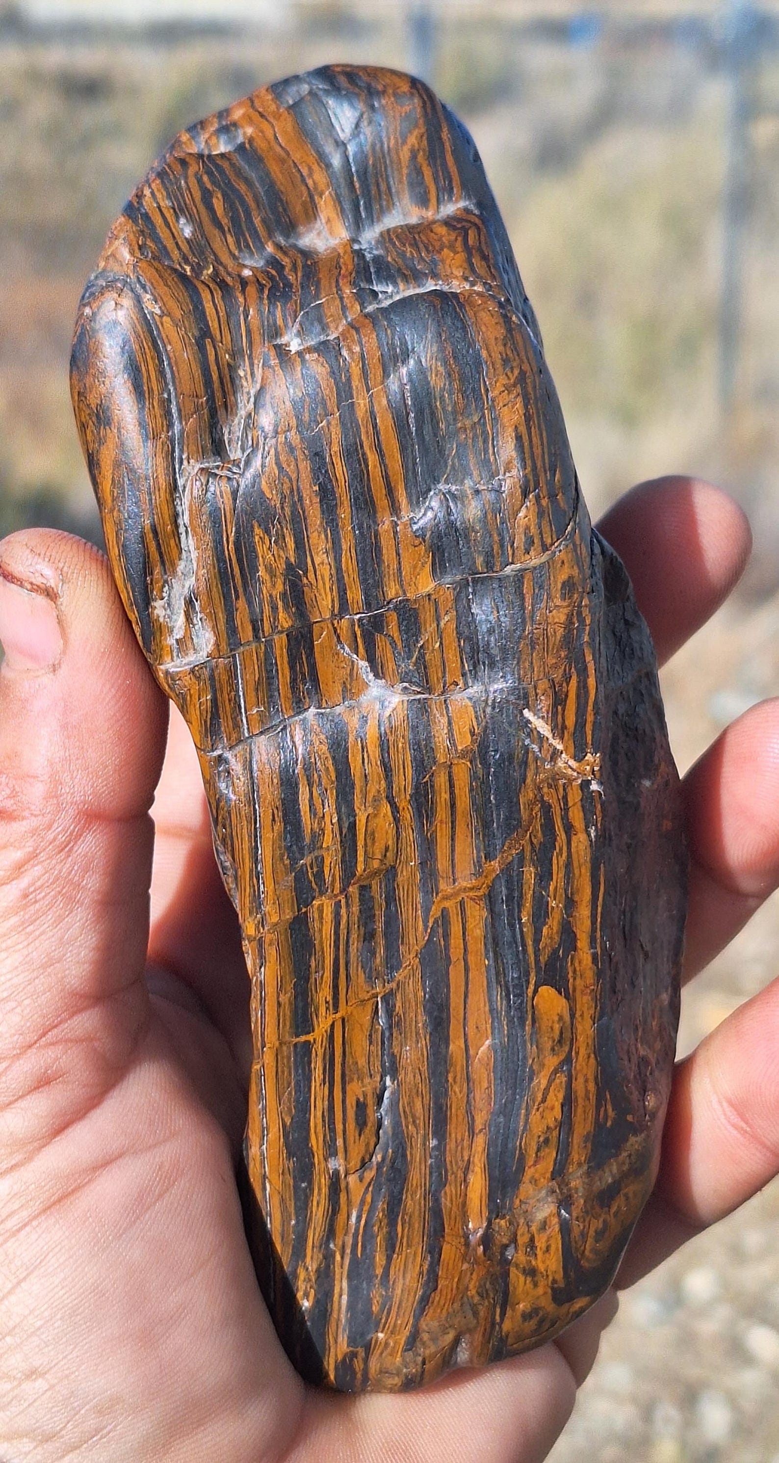 B67 MAGNETIC Genesis Stone Wyoming BIF Banded Ironstone Iron Hematite ...