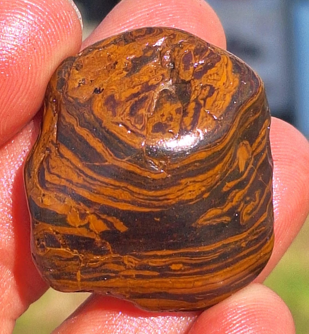 Banded Ironstone Genesis Stone Wyoming BIF Magnetic Iron Hematite ...