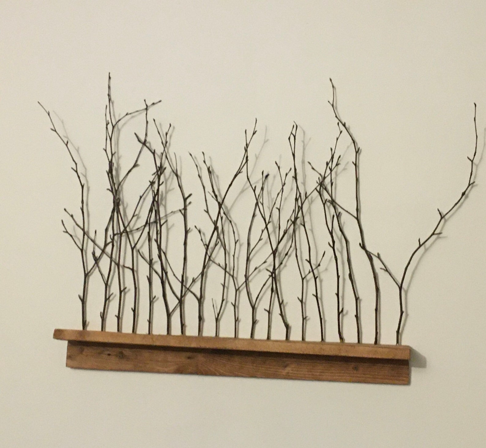 Birch Twig Wall Shelf Nature Inspired Decorcottage Decor - Etsy