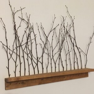 Birch Twig Wall Shelf Nature Inspired Decorcottage Decor - Etsy