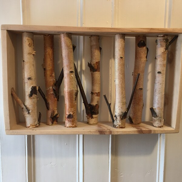 Birch Box - Etsy
