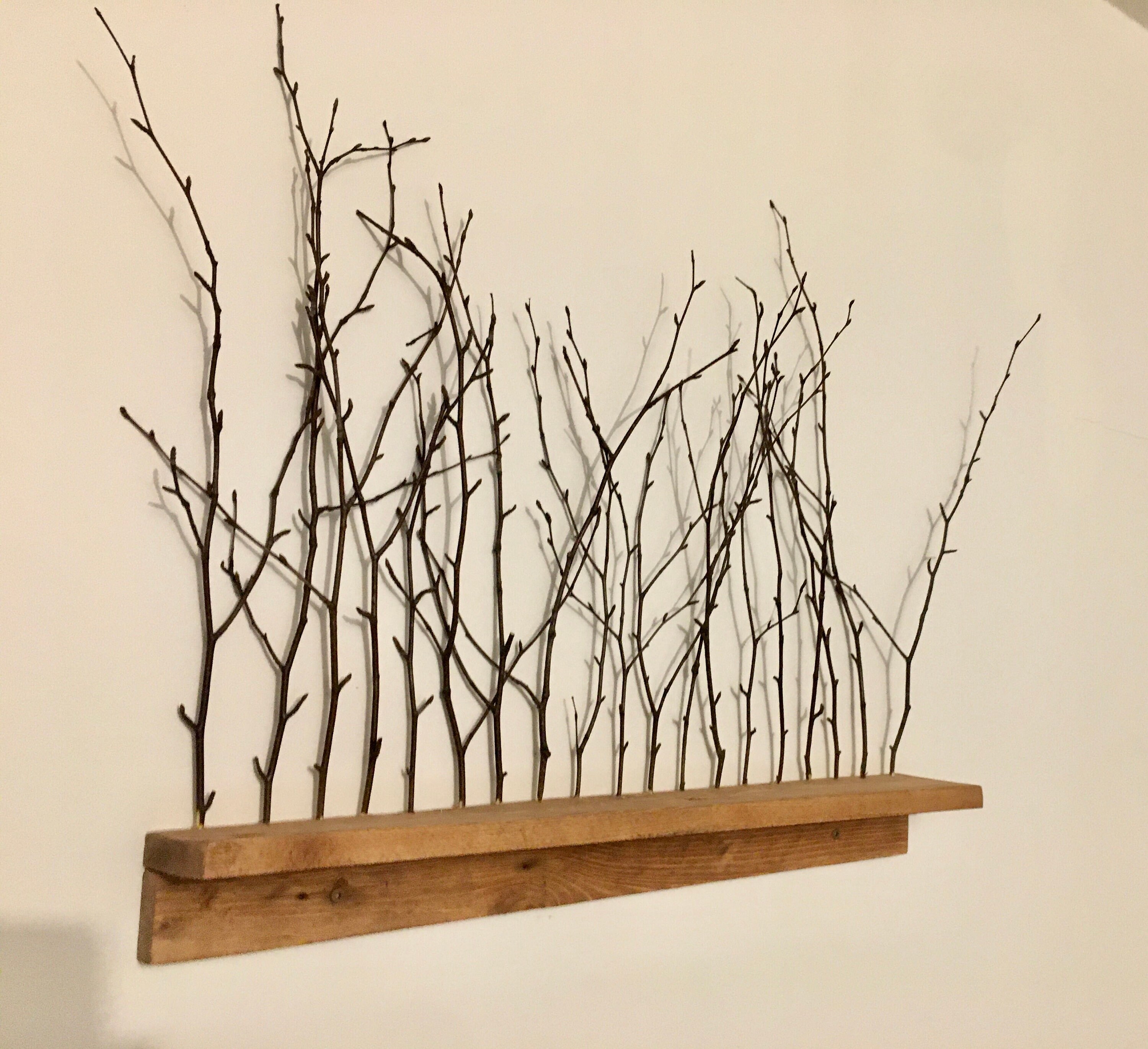 Birch Twig Wall Shelf Nature Inspired Decorcottage Decor - Etsy