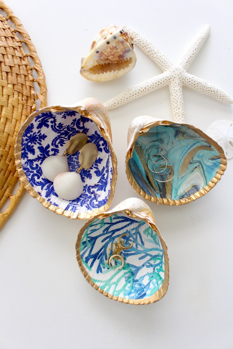 Atlantic Giant Cockle Shell Decoupage Ring - Etsy