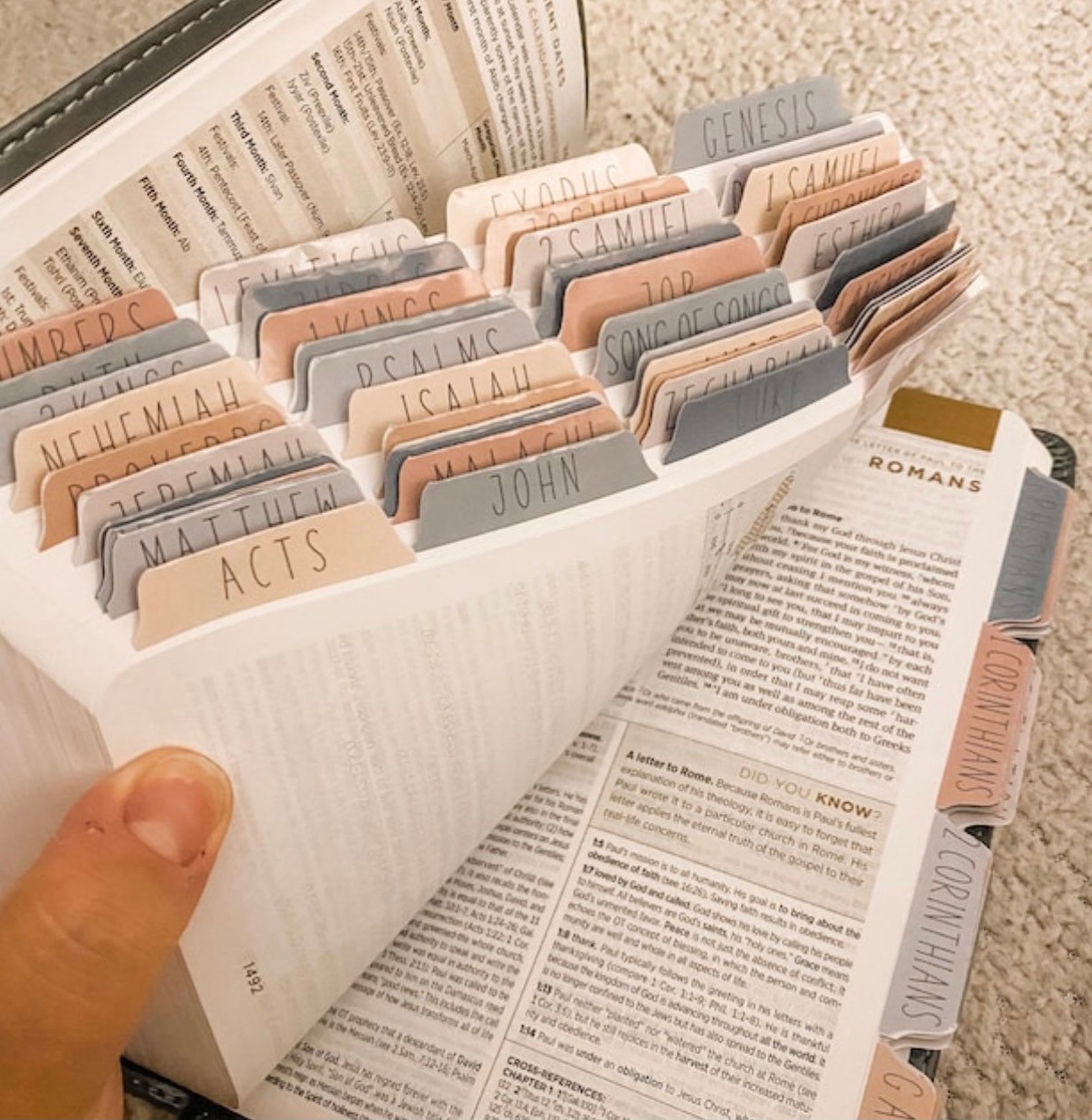 Glossy Vinyl Bible Tabs With Placement Guide for Bible Study - Etsy