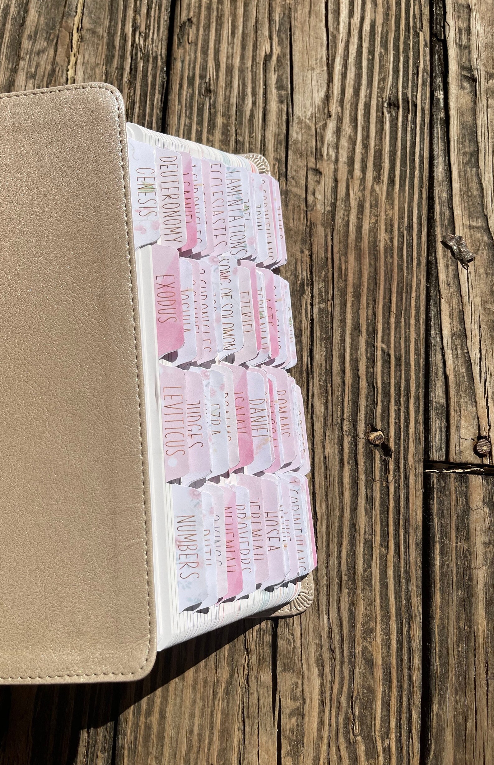 Glossy Vinyl Bible Tabs With Placement Guide - Etsy