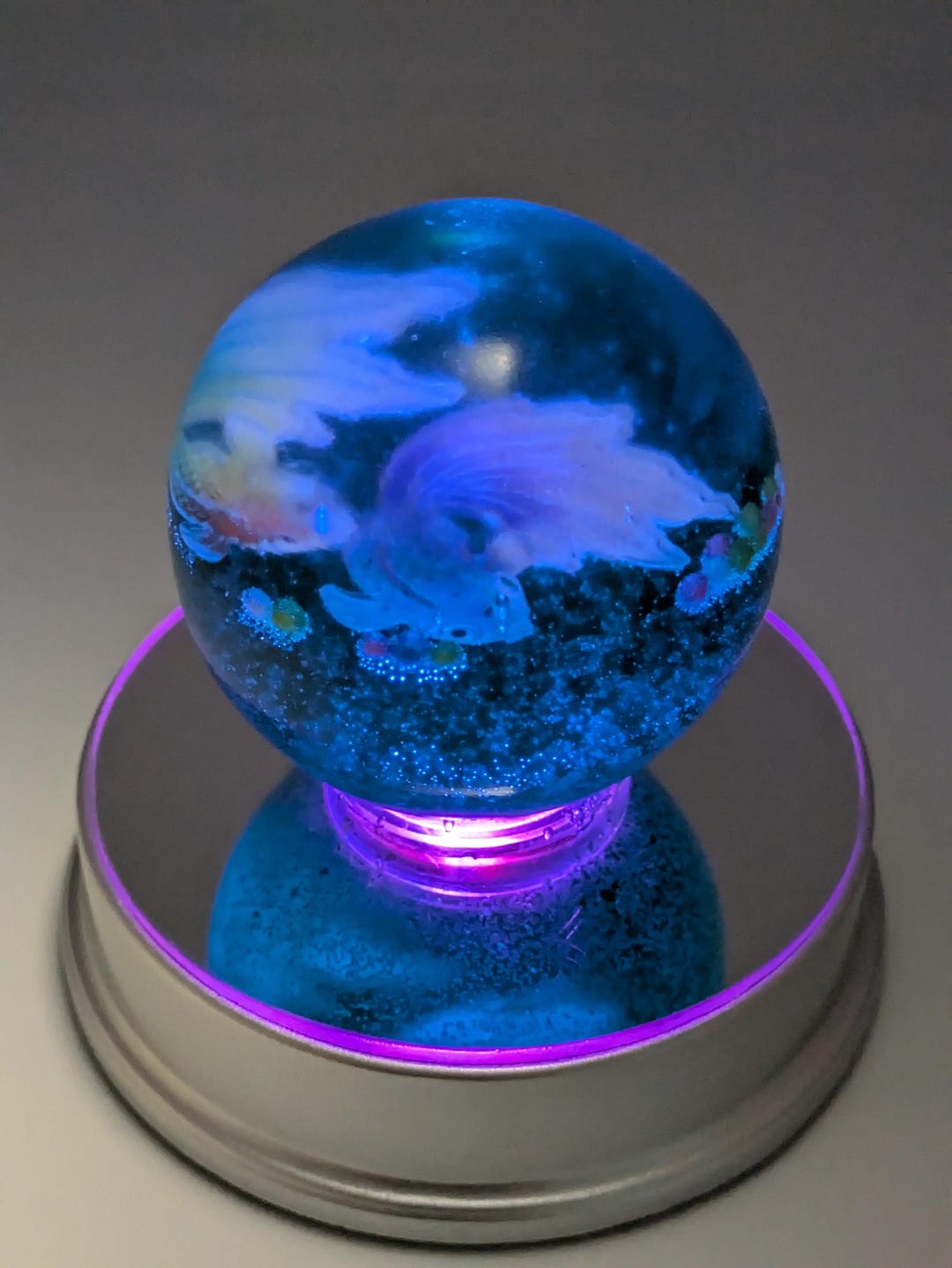 Resin Sphere "dancing Bettas" – Hand-painted Betta Fish Lovers Globe ...