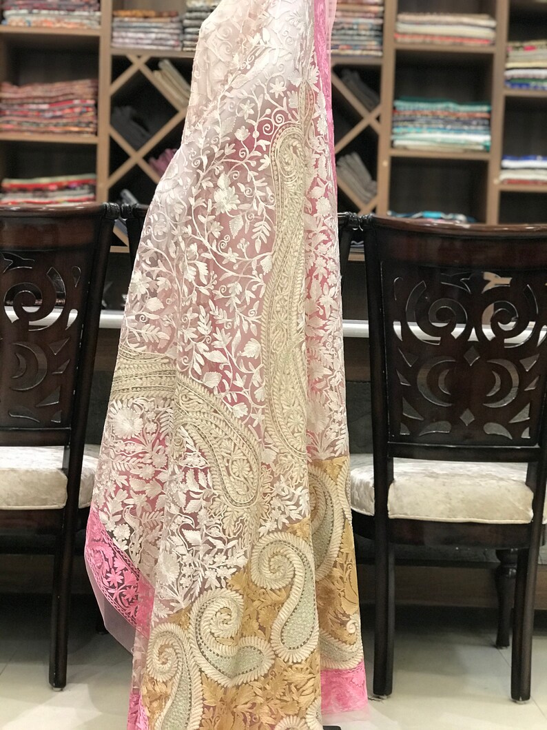 Net Saree With All-over Kashmiri Aari Embroidery Indian - Etsy